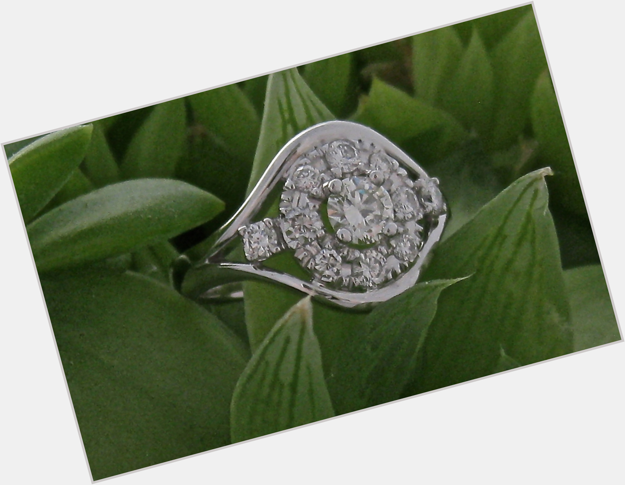 Frances Ring | Official Site for Woman Crush Wednesday #WCW