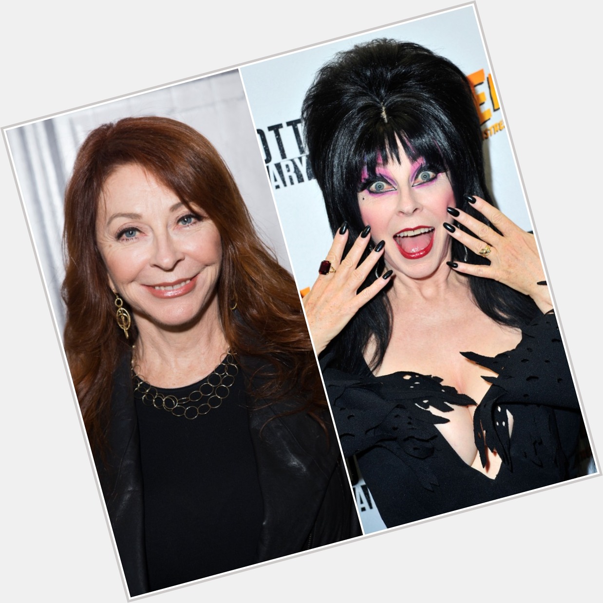 Sandra Peterson | Official Site for Woman Crush Wednesday #WCW