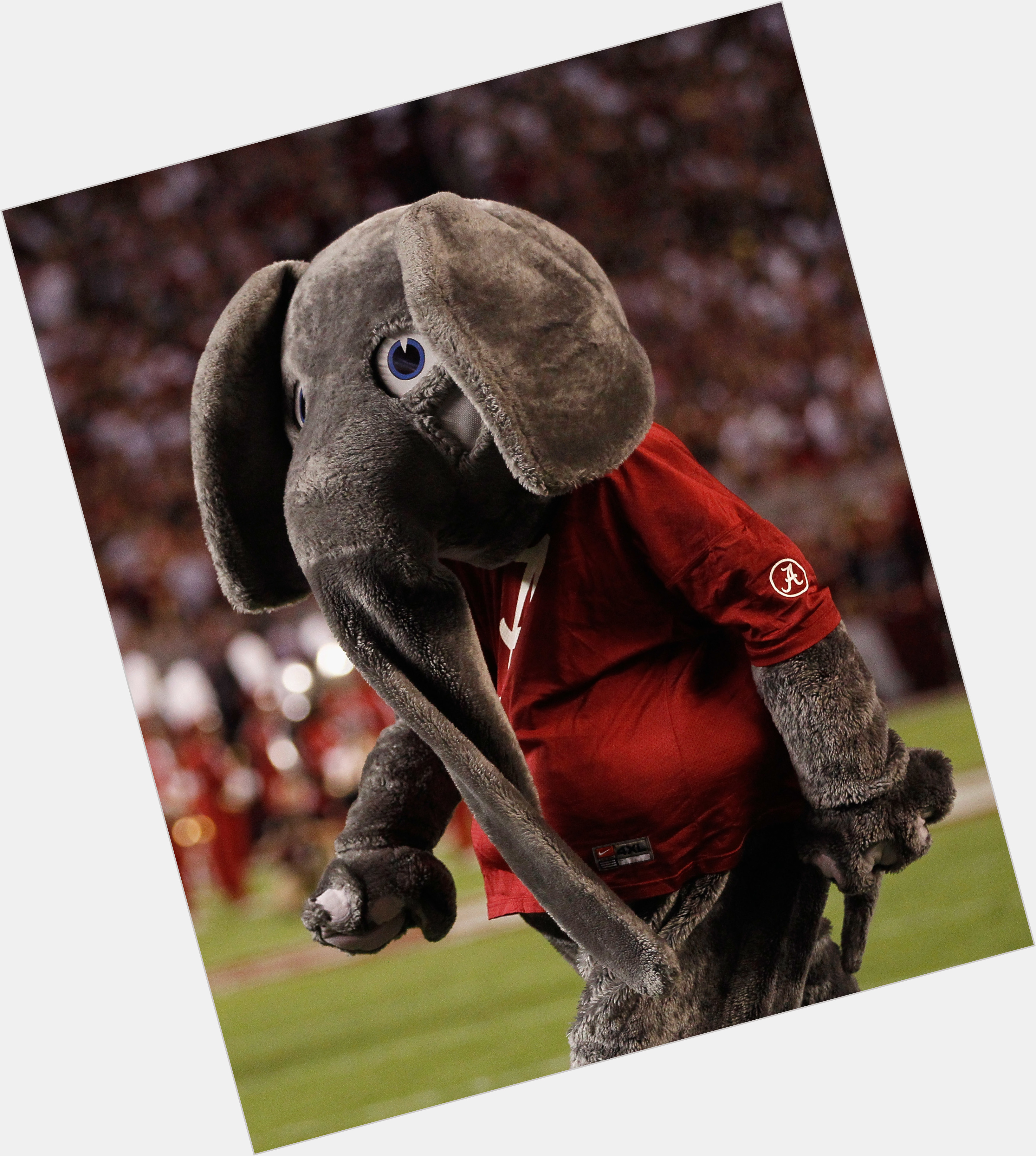 Al Krevis | Official Site for Man Crush Monday #MCM | Woman Crush ...