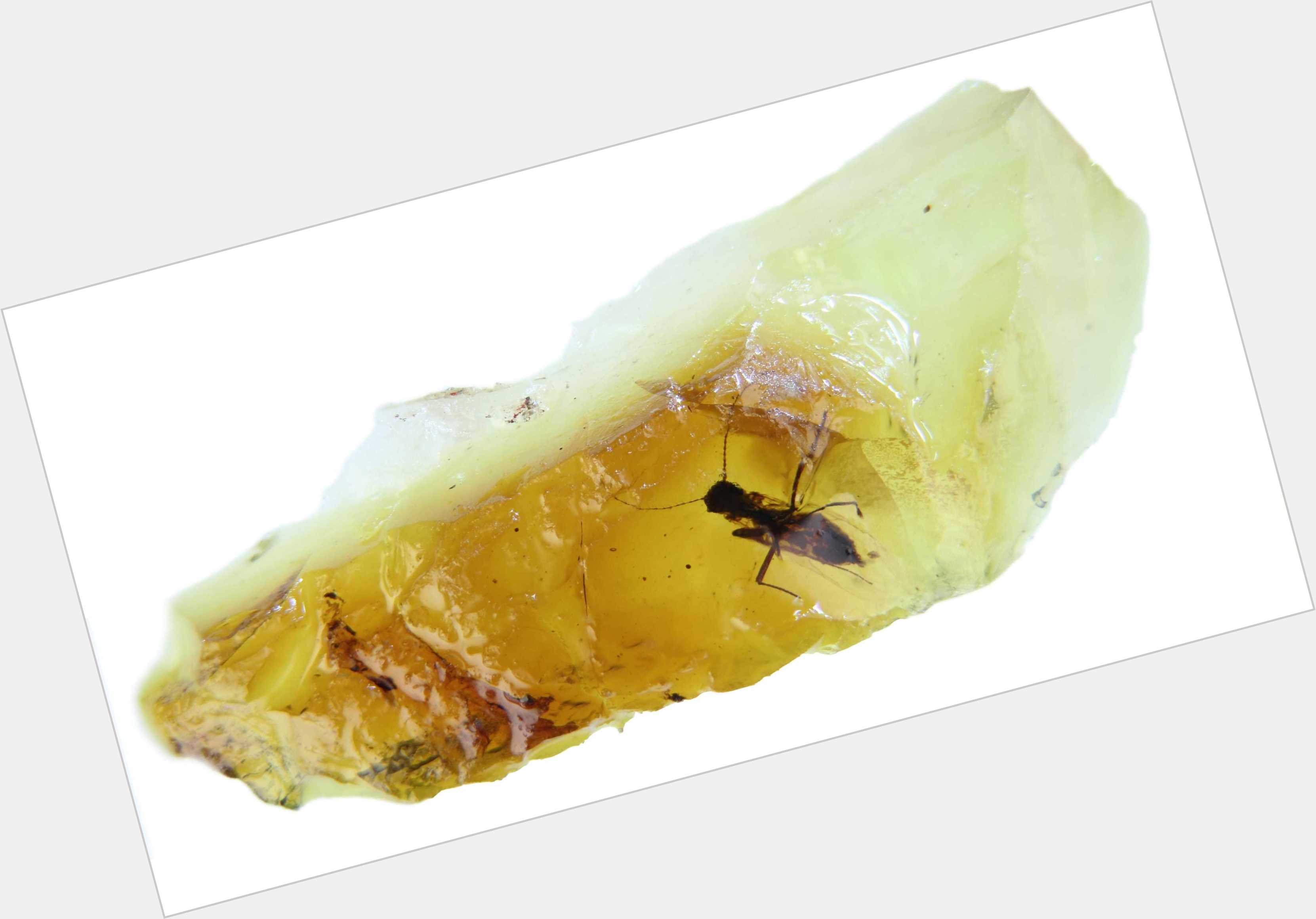 Aussie Amber | Official Site for Woman Crush Wednesday #WCW