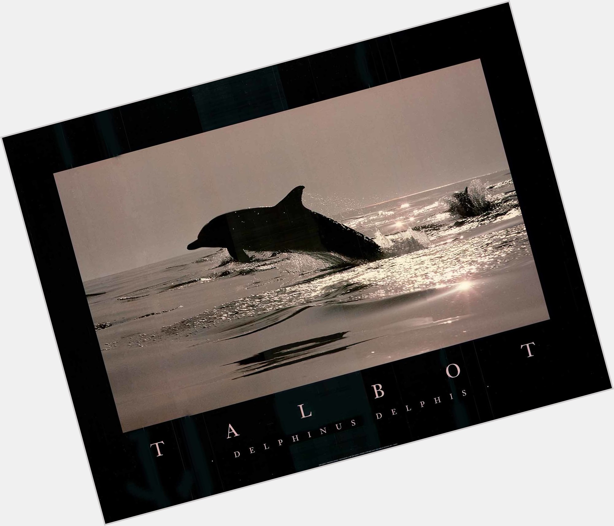 Bob Talbot | Official Site for Man Crush Monday #MCM | Woman Crush Wednesday #WCW