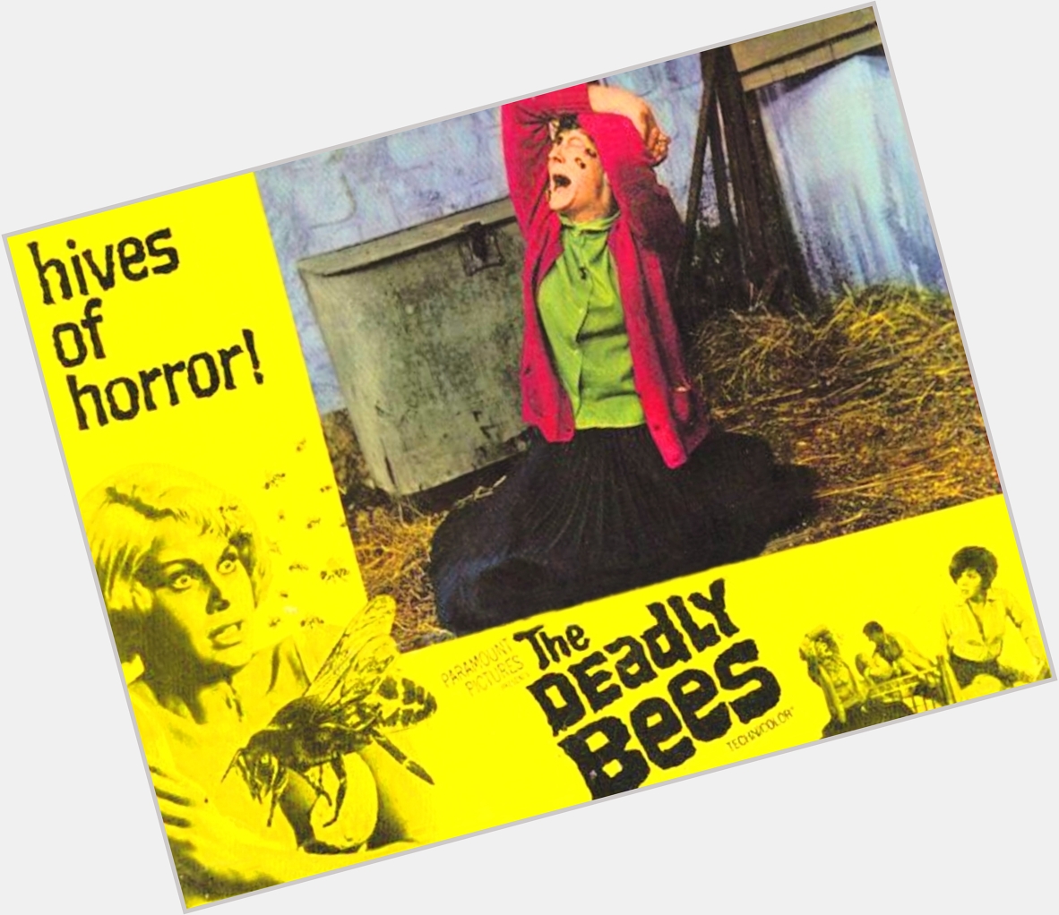 Catherine Finn | Official Site for Woman Crush Wednesday #WCW