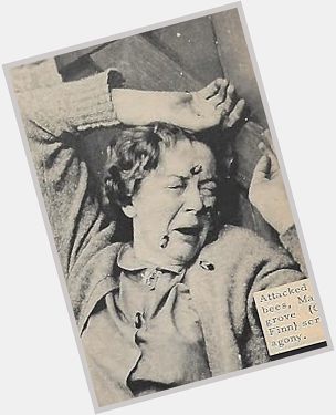 Catherine Finn | Official Site for Woman Crush Wednesday #WCW