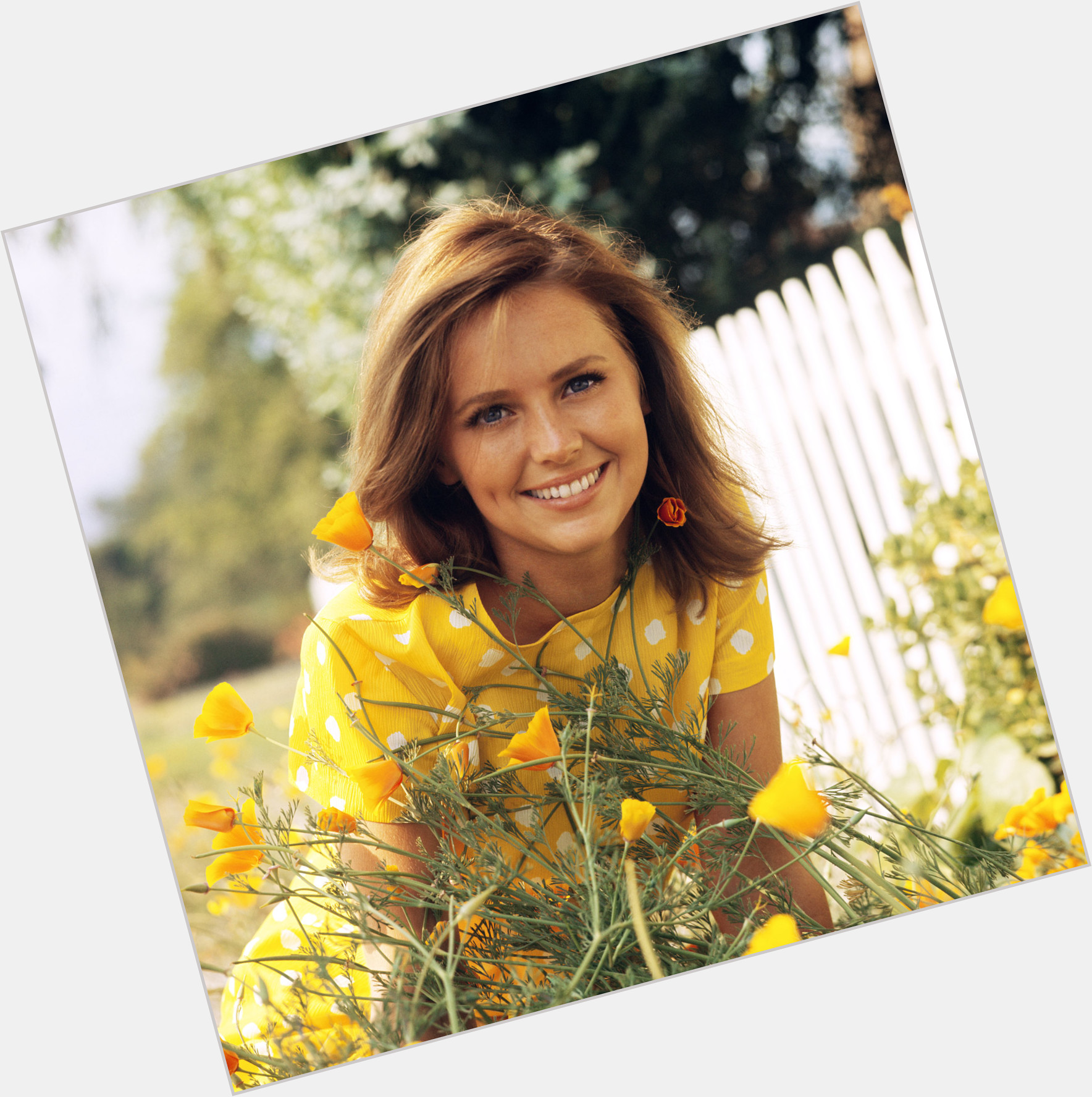 Elaine Morton Official Site For Woman Crush Wednesday Wcw