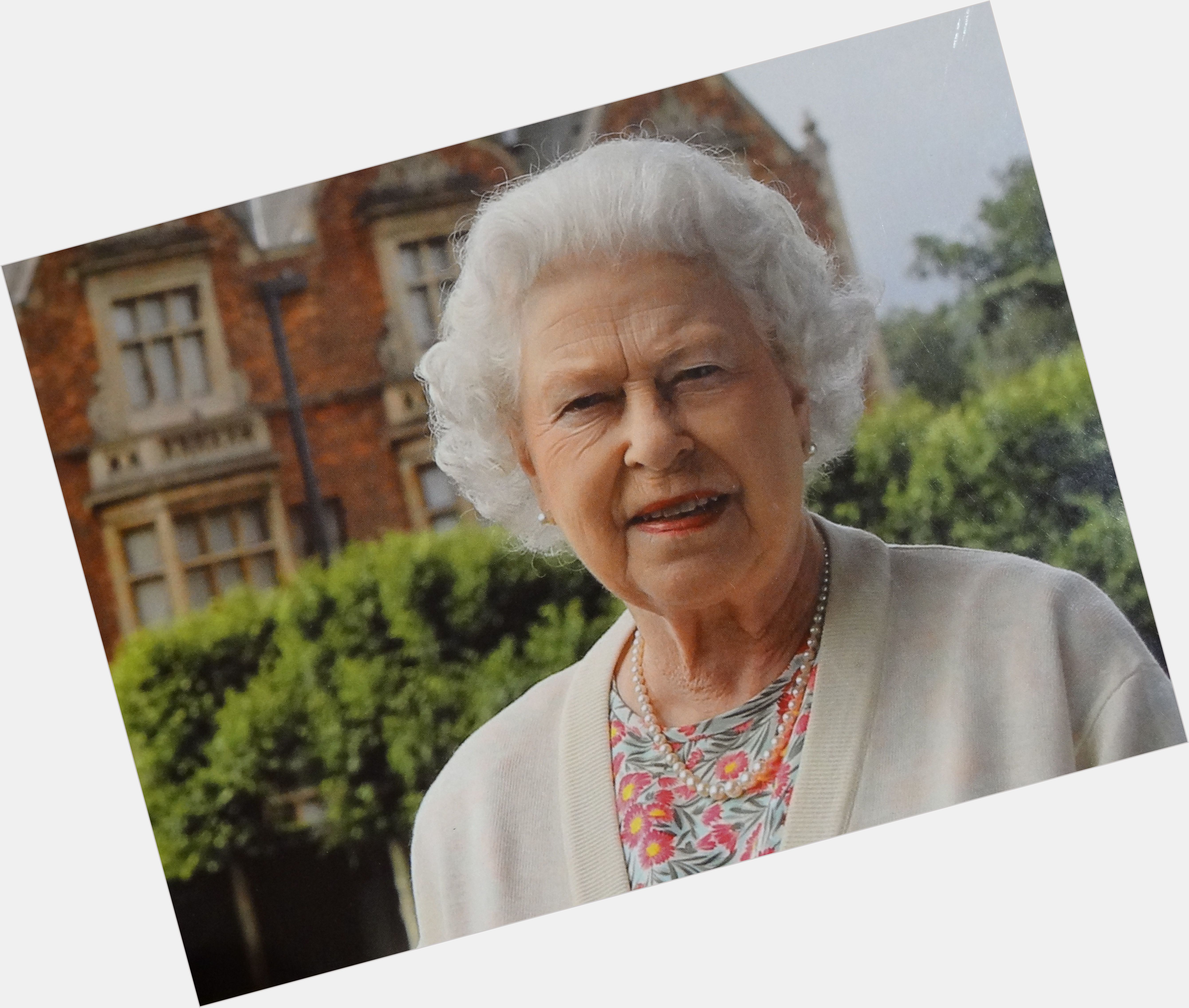 Elizabeth De Comyn | Official Site for Woman Crush Wednesday #WCW