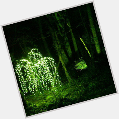 Frances Walsh | Official Site for Woman Crush Wednesday #WCW