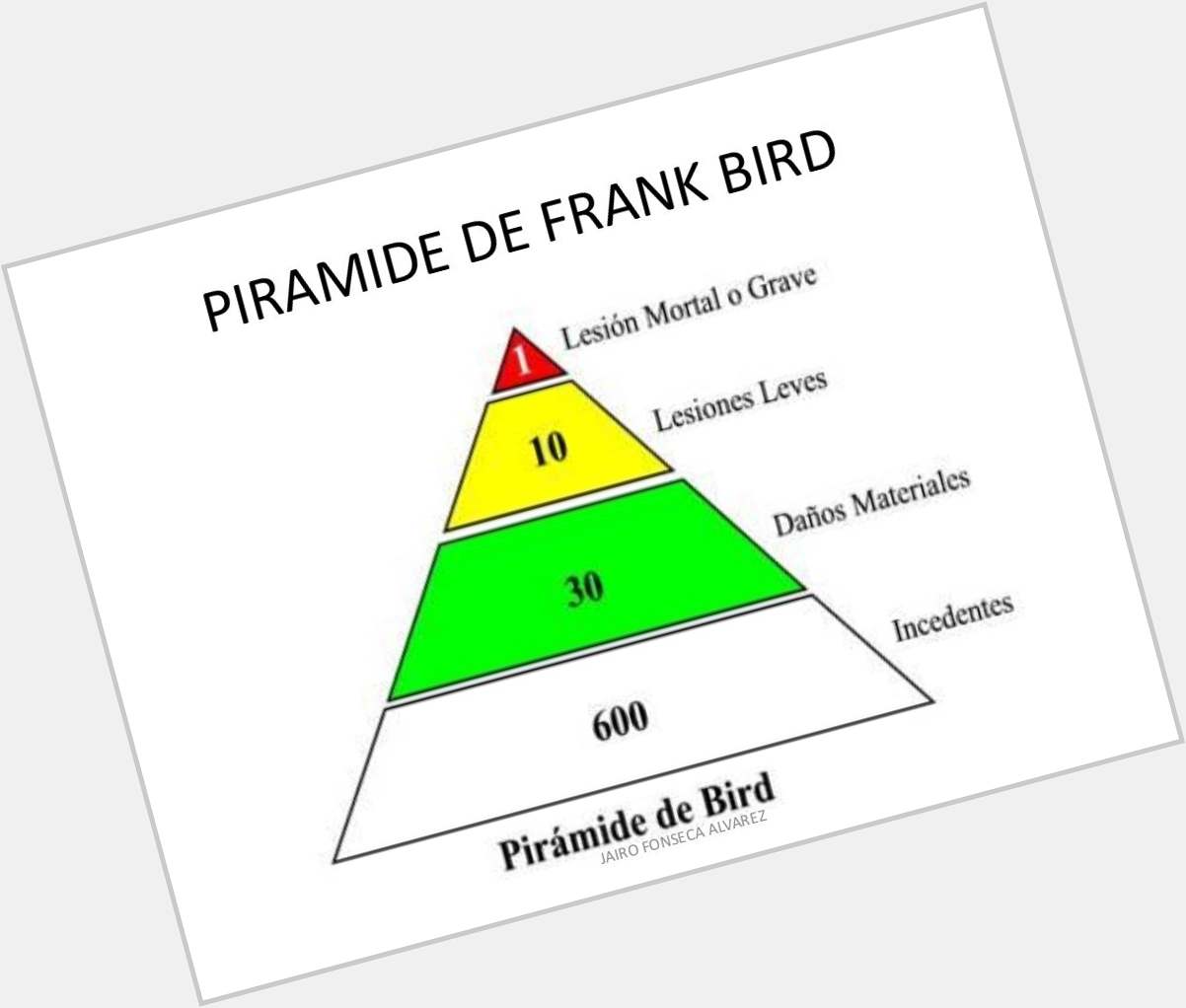 Frank Bird | Official Site for Man Crush Monday #MCM | Woman Crush ...