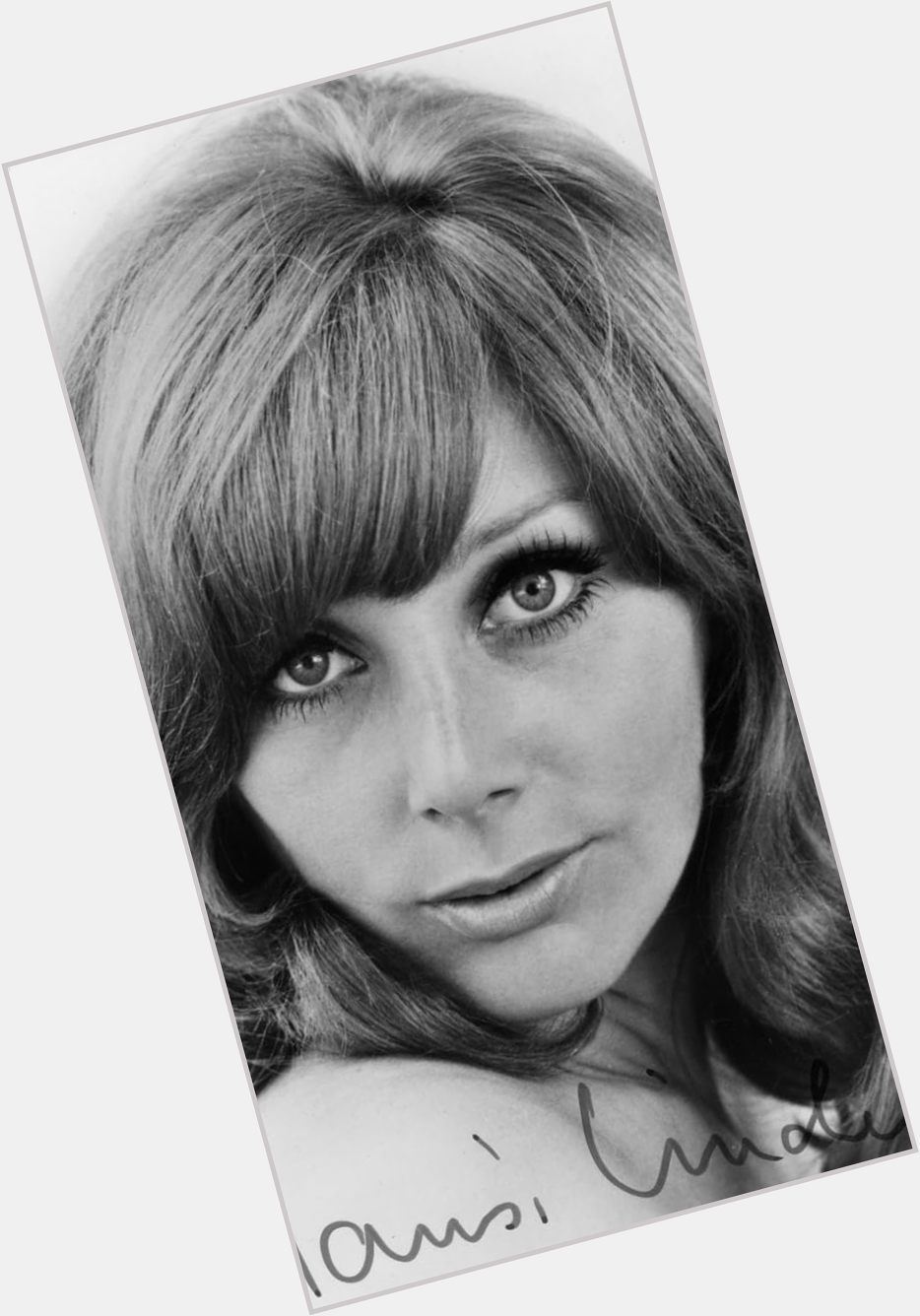 Hansi Linder | Official Site for Woman Crush Wednesday #WCW