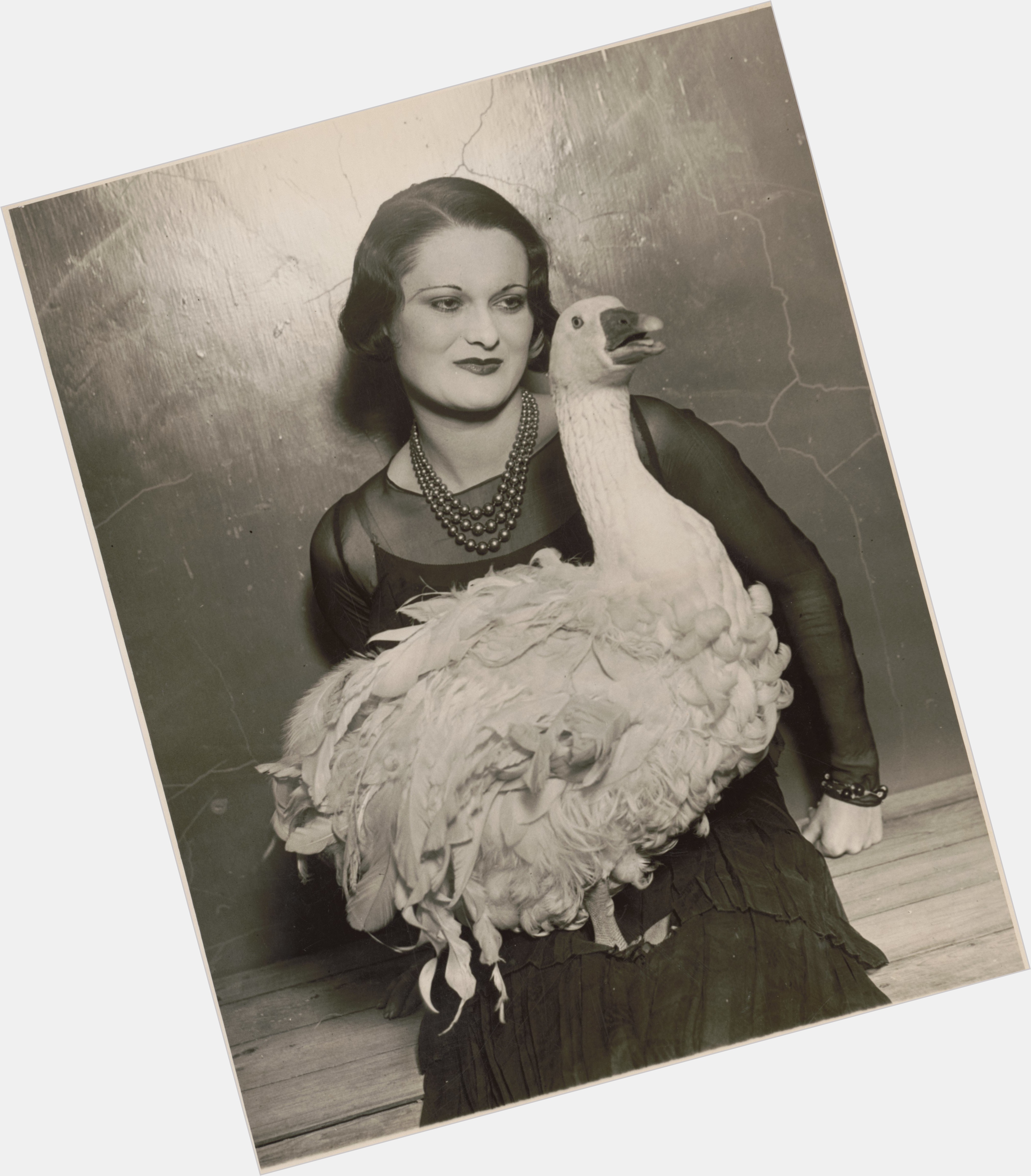 Isla Bevan | Official Site for Woman Crush Wednesday #WCW