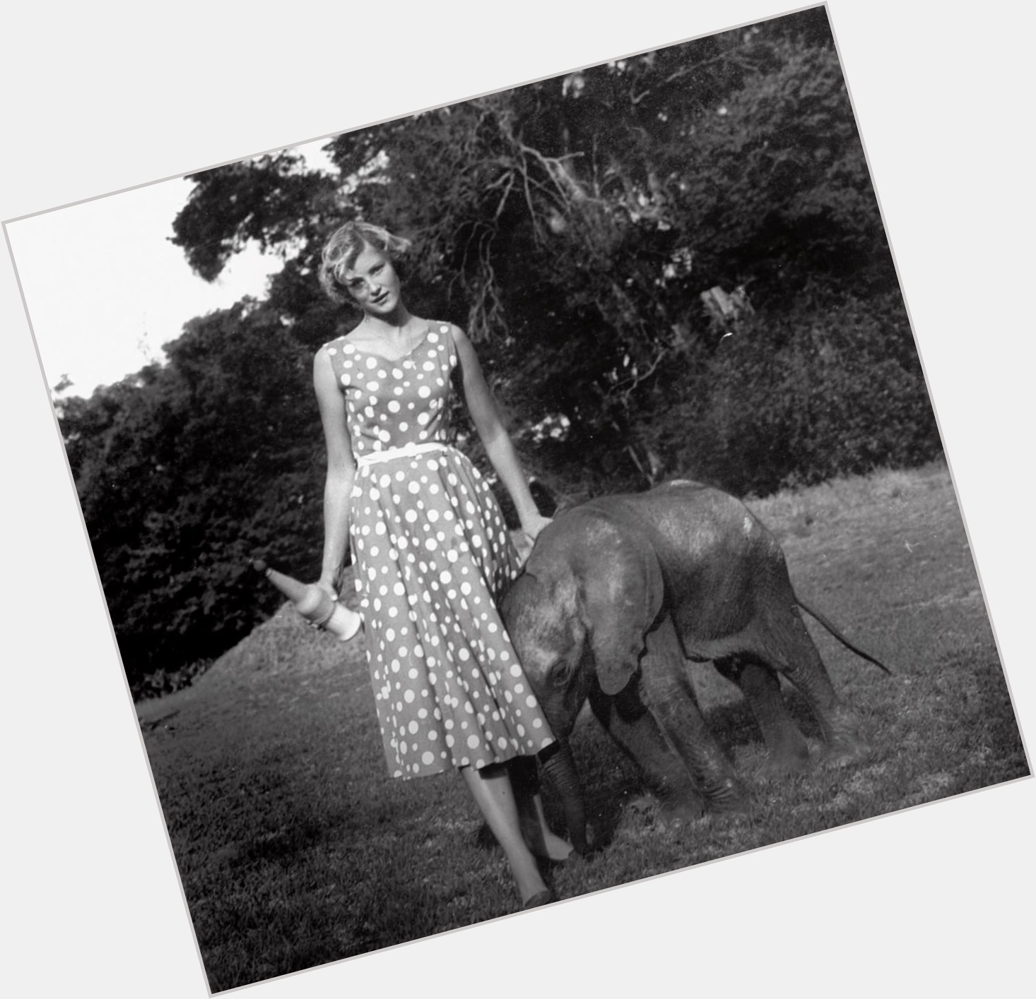 Joan Root | Official Site for Woman Crush Wednesday #WCW