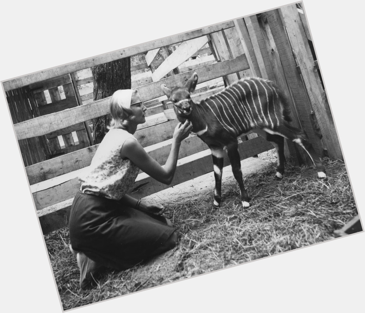 Joan Root | Official Site for Woman Crush Wednesday #WCW