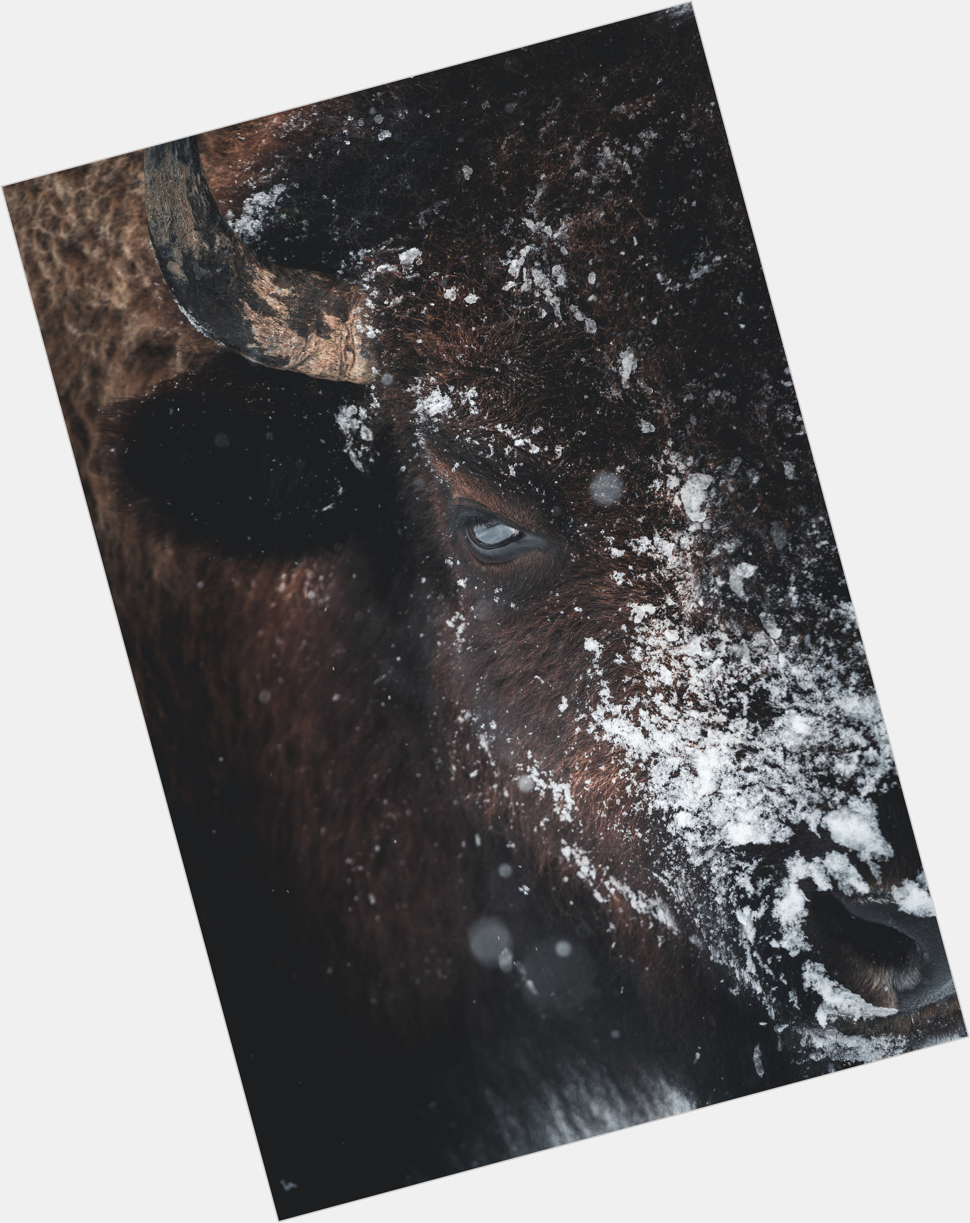 Jordan Danyluk | Official Site for Man Crush Monday #MCM | Woman Crush ...