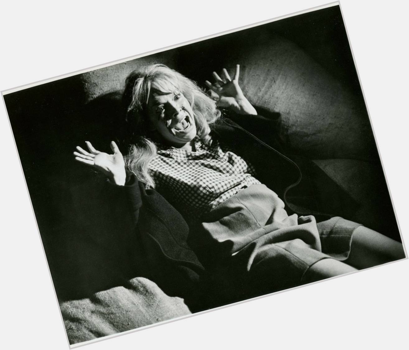 Judith Arthy | Official Site for Woman Crush Wednesday #WCW