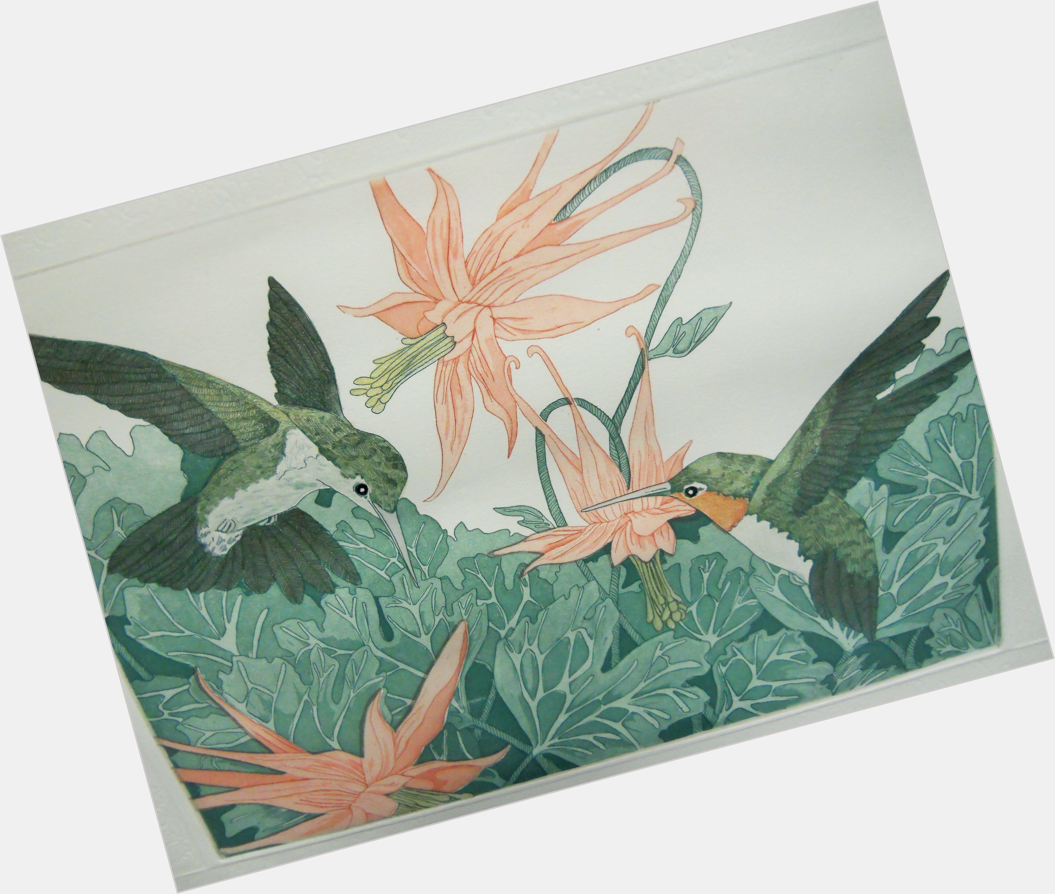 Judith Hall | Official Site for Woman Crush Wednesday #WCW