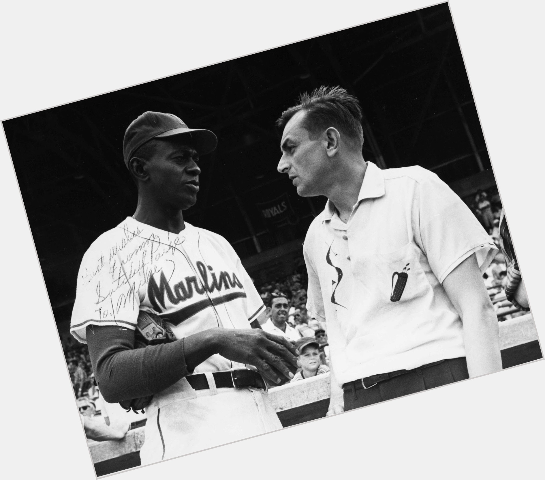 Mike Stepovich | Official Site for Man Crush Monday #MCM | Woman Crush ...