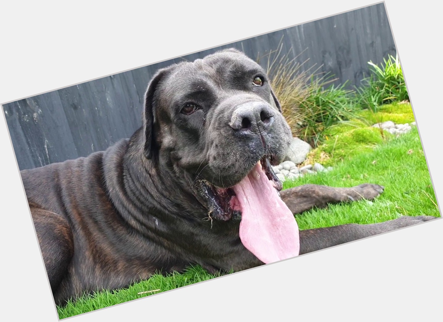 Odile Corso | Official Site for Woman Crush Wednesday #WCW