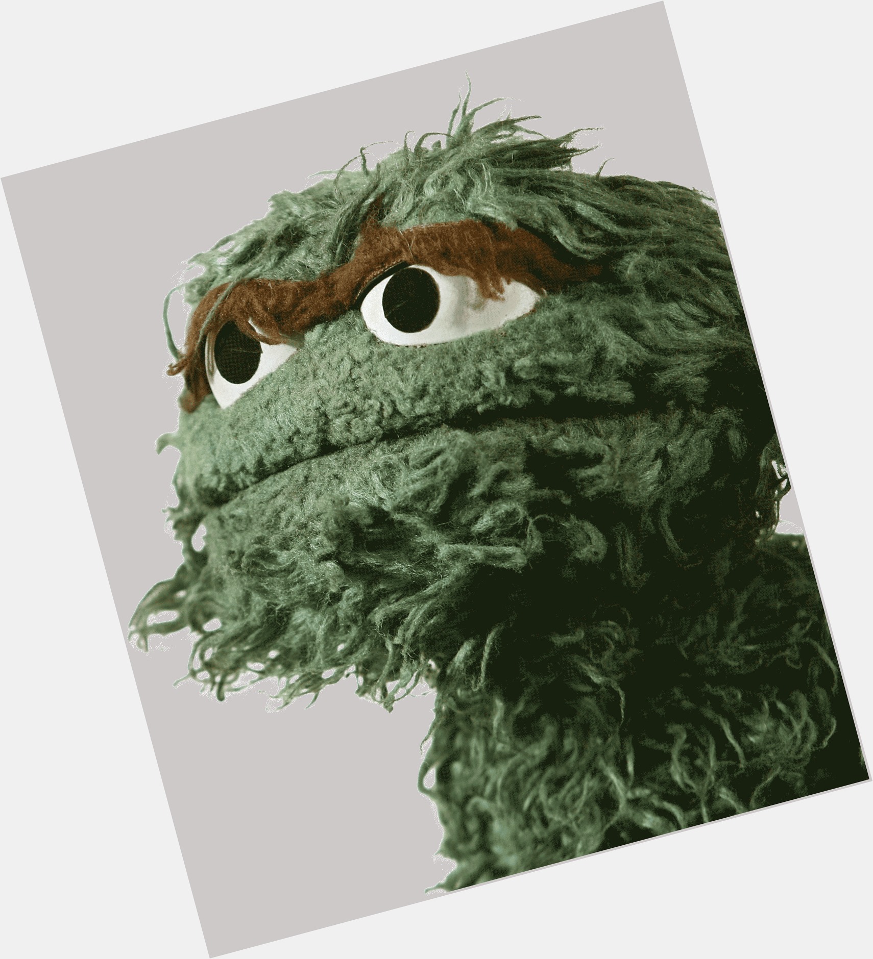 Oscar The Grouch | Official Site for Man Crush Monday #MCM | Woman ...