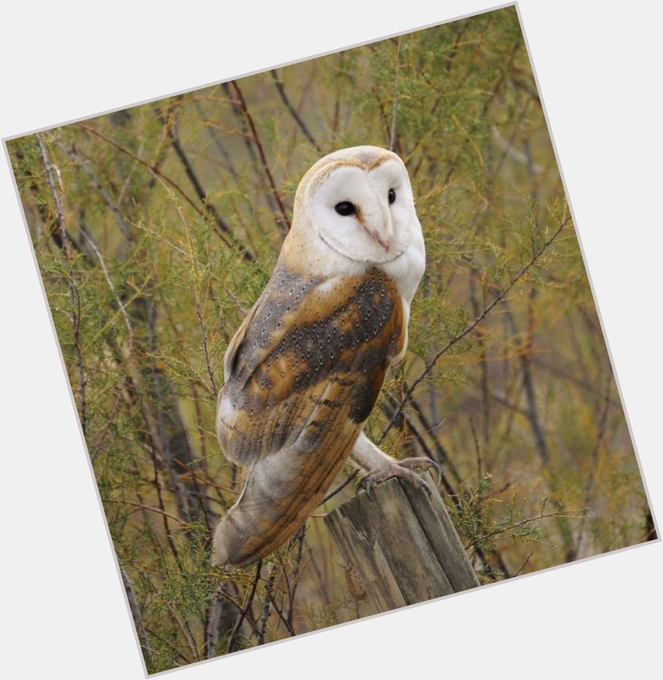 Tito Alba | Official Site for Man Crush Monday #MCM | Woman Crush ...