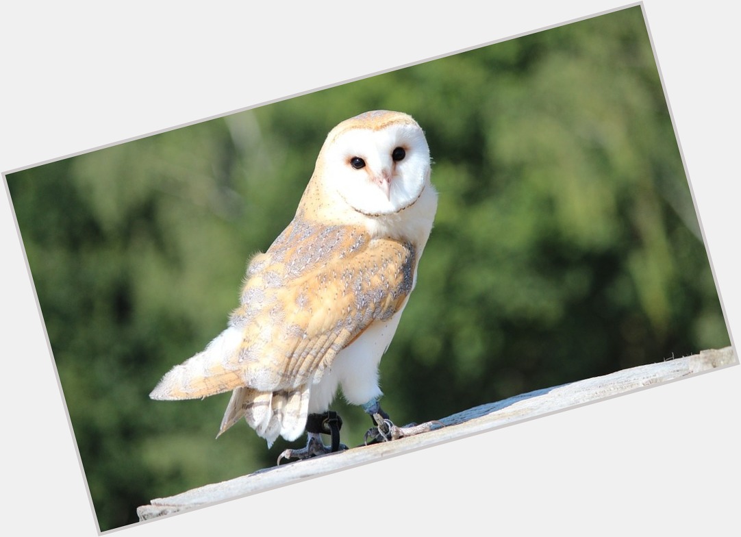 Tito Alba | Official Site for Man Crush Monday #MCM | Woman Crush ...