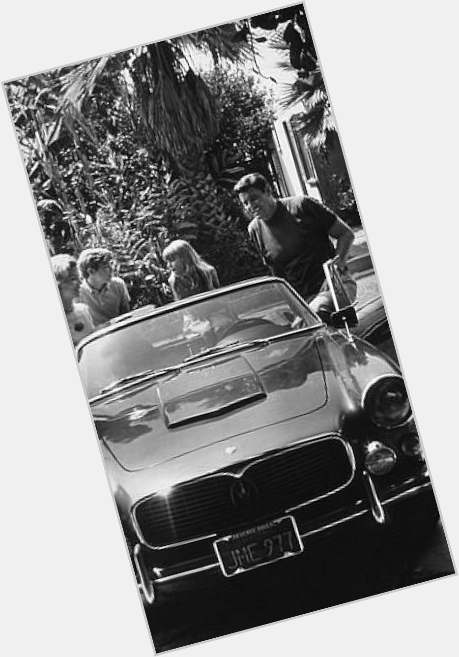 Toni Catalano | Official Site for Woman Crush Wednesday #WCW